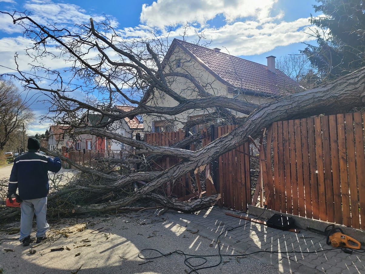 Szélvihar csapott le az agglomerációra, egymás után dőlnek ki a fák ...